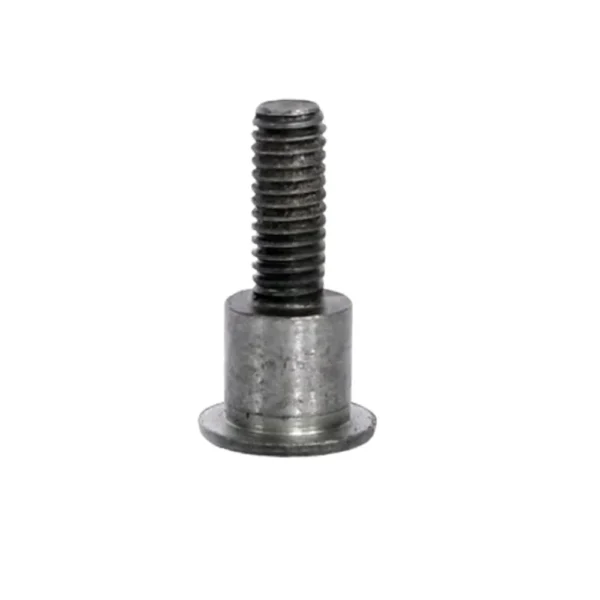 Boxer-Cam Chain Tensioner Pivot Bolt Genuine